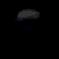 Skull GIFs - Get the best gif on GIFER