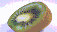Kiwi GIFs - Get the best gif on GIFER