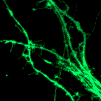 Phds GIFs - Get the best gif on GIFER