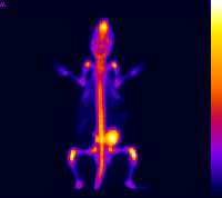 Ct GIFs - Get the best gif on GIFER