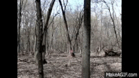 Tannerite GIFs - Get the best gif on GIFER
