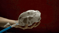 Pingpongs GIFs - Get the best gif on GIFER