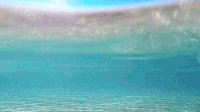 Ocean GIFs - Get the best gif on GIFER