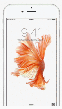 Iphone GIFs - Get the best gif on GIFER