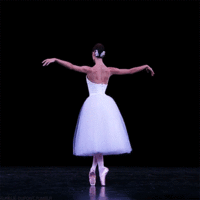 Ballet GIFs - Get the best gif on GIFER