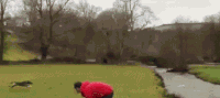 Leaping GIFs - Get the best gif on GIFER