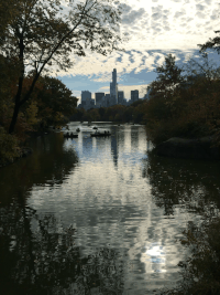 Park GIFs - Get the best gif on GIFER