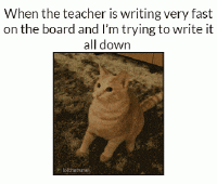 Lehrer GIFs - Get the best gif on GIFER