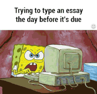 Essay GIFs - Get the best gif on GIFER