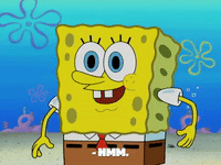 Chum GIFs - Get the best gif on GIFER