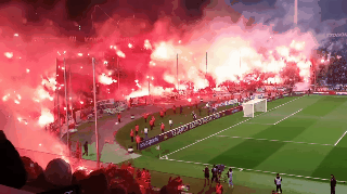 Paok GIFs - Get the best gif on GIFER