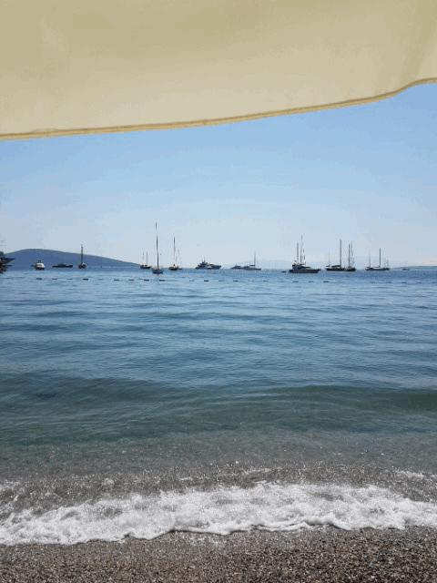 Mer GIFs - Get the best gif on GIFER