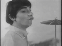 Loon GIFs - Get the best gif on GIFER