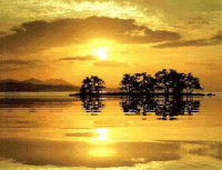 Paysage GIFs - Get the best gif on GIFER