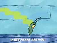 Chum GIFs - Get the best gif on GIFER