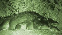 Infrared GIFs - Get the best gif on GIFER