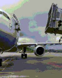 Llama GIF - Conseguir el mejor gif en GIFER