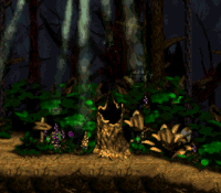 Brambles GIFs - Get the best gif on GIFER