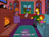 Flanders GIFs - Get the best gif on GIFER