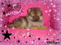 Blingee GIFs - Get the best gif on GIFER