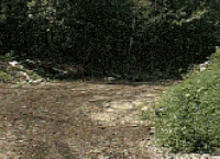 Judaism GIFs - Get the best gif on GIFER