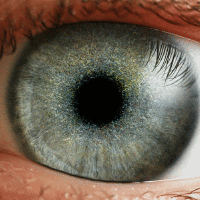 Hypnotic GIFs - Get the best gif on GIFER