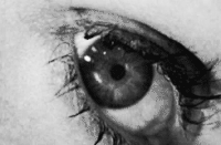 Psycho GIFs - Get the best gif on GIFER