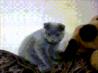 Waiter GIFs - Get the best gif on GIFER