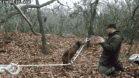 Slacklining GIFs - Get the best gif on GIFER