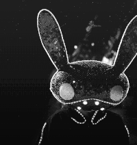 Absolute GIFs - Get the best gif on GIFER