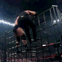 Budd GIFs - Get the best gif on GIFER