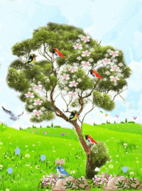 Creation GIFs - Get the best gif on GIFER