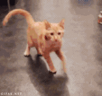 Nip tuck GIFs - Get the best gif on GIFER