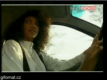 Pickwick GIFs - Get the best gif on GIFER