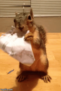 Shredder GIFs - Get the best gif on GIFER