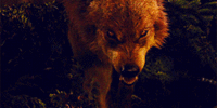 Werewolves GIFs - Get the best gif on GIFER