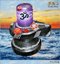 Om GIFs - Get the best gif on GIFER