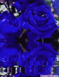 Blue GIFs - Get the best gif on GIFER