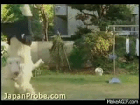 Experiment gone wrong GIFs - Get the best gif on GIFER