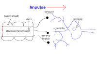 Impulse GIFs - Get the best gif on GIFER