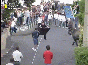 Toro GIFs - Get the best gif on GIFER