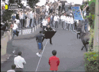 Toro GIFs - Get the best gif on GIFER