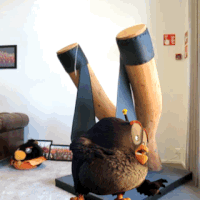 Slingshots GIFs - Get the best gif on GIFER