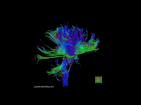 Resonance GIFs - Get the best gif on GIFER