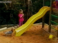 Persistence GIFs - Get the best gif on GIFER