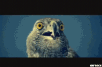 Today GIFs - Get the best gif on GIFER