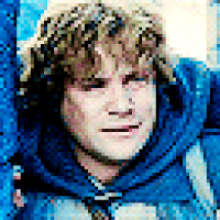 Platter GIFs - Get the best gif on GIFER