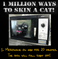 Microwaving GIFs - Get the best gif on GIFER