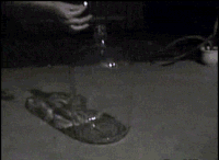 Bottles GIFs - Get the best gif on GIFER