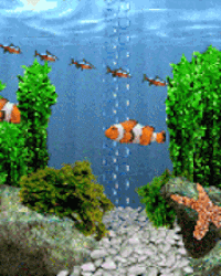 Aquarium GIFs - Get the best gif on GIFER